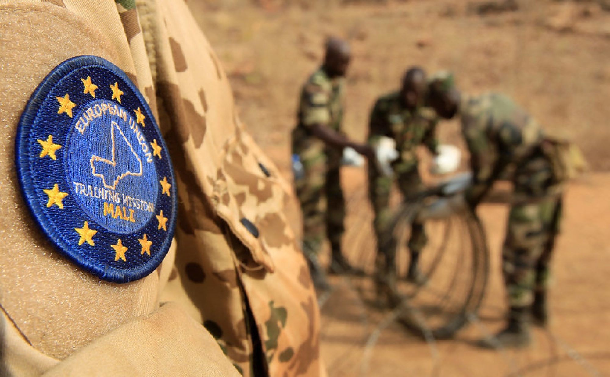 “The Issue of Good Governance has Become Too Marginalized in German ...